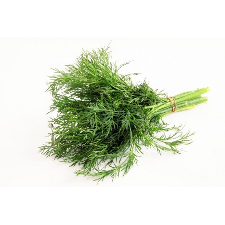 Buy DILL BUNCH Online | Australia | MFD Food